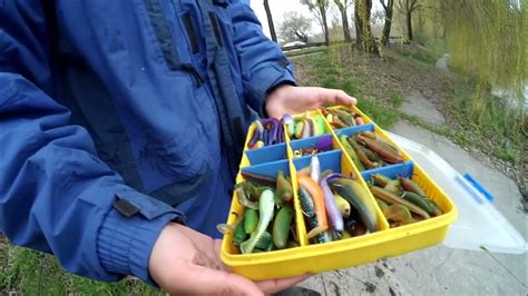 Риболовля на озері Басів Кут у м Рівне Youtube