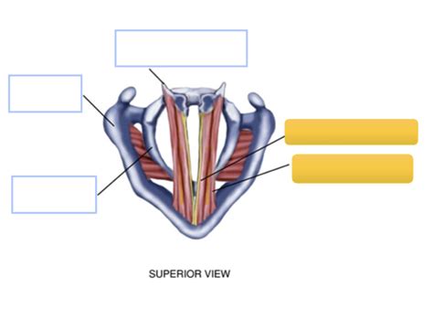 Diagram 9 Diagram Quizlet