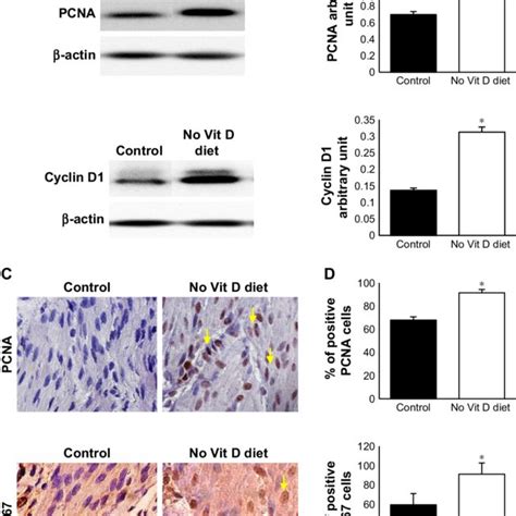 The Figo Leiomyoma Classification Subsystem 113 Download Scientific Diagram