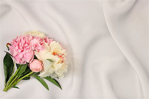 추상적인 꽃꽂이 플랫 레이 우아한 배경에 아름 다운 모란의 꽃다발 봄과 여름 배너 크리에이티브 모던 부케 어머니의 날 카드 생일 축하 해요 결혼식 꽃과 함께 휴일 컨셉 0