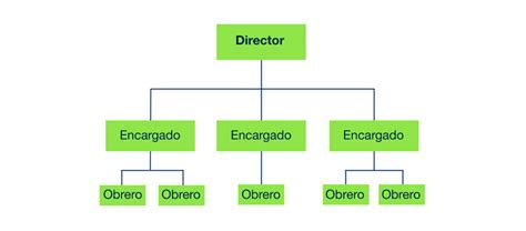 La Importancia Del Organigrama En La Estructura De La Porn Sex Picture