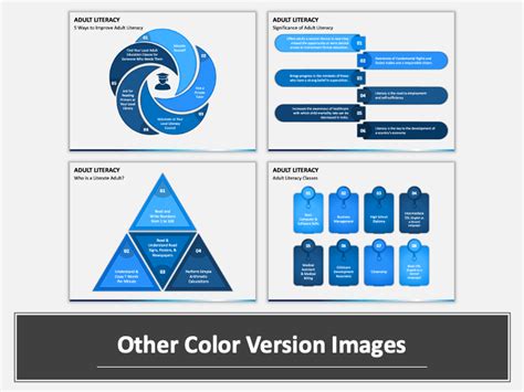 Adult Literacy PowerPoint And Google Slides Template PPT Slides