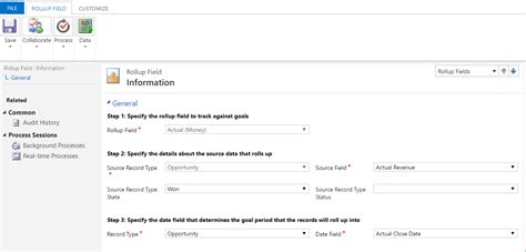 Dynamics Crm Goals Carl De Souza
