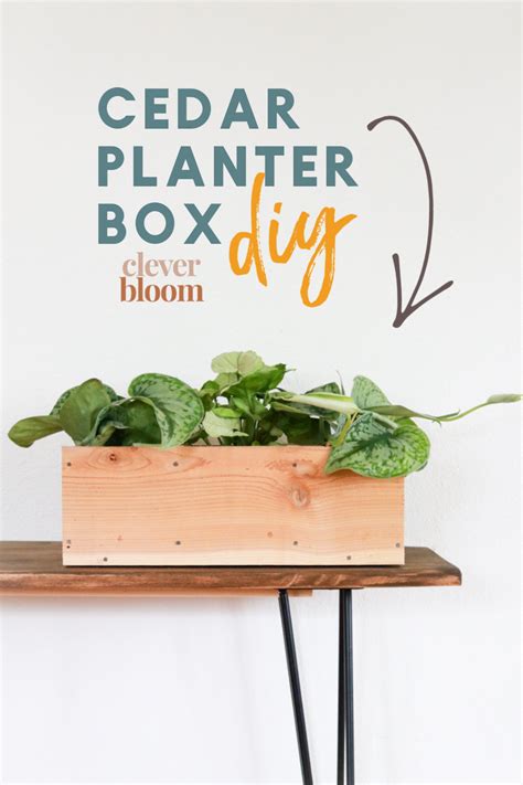 Cedar Planter Box For Indoor And Outdoor Plants