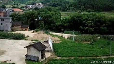 現在農業值得深思的問題——未來十年，農村的地將由誰來種？ 每日頭條
