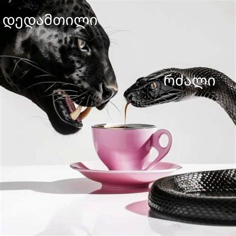 დედამთილი On Reels