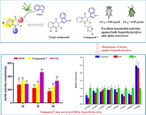 Design Synthesis And Insecticidal Activity Of Novel Pyrido 1 2 A Pyrimidinone Mesoionic