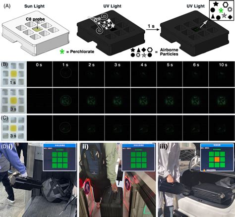 A Schematic Diagram Of The Sensing Chip For Airborne Perchlorate Download Scientific Diagram