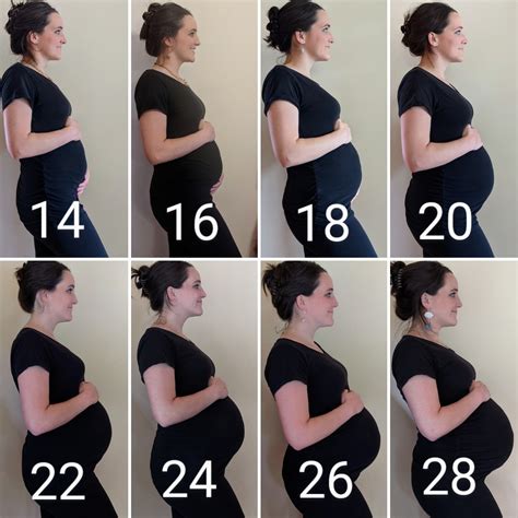 Pregnancy Week By Week Triplets