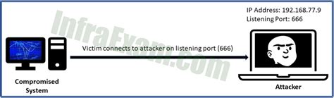 Cisco Ethical Hacker Course Final Exam Answers 2025 100