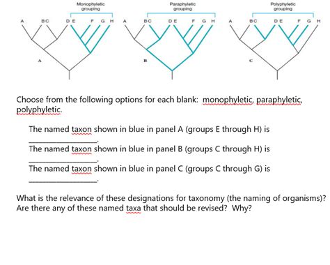 Solved Monophyletic Grouping Paraphyletic Grouping Chegg
