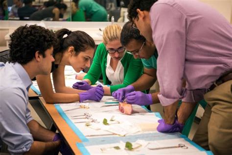 Course Based Undergraduate Research Experiences Cures Undergraduate Research And Creative Inquiry