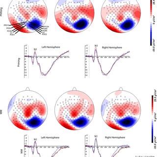 Current Source Density Maps Of The Voltage Distributions In The Download Scientific Diagram