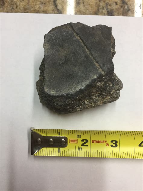 Fossilized Turtle Shell Fossil ID The Fossil Forum