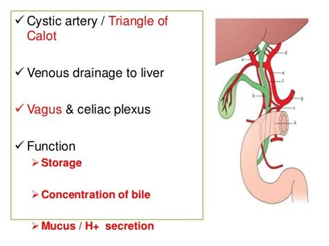 Diseases Of Gb And Biliary Tree Final