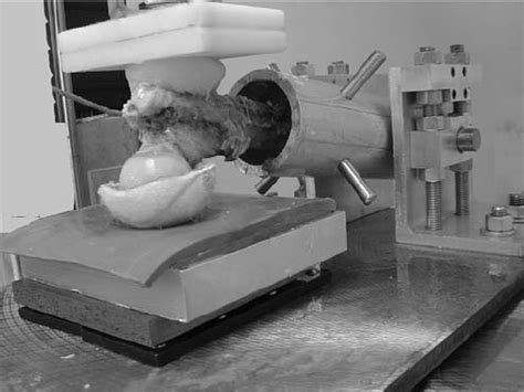 Loading Apparatus For Mechanical Testing Of The Proximal Femur In A Download Scientific Diagram