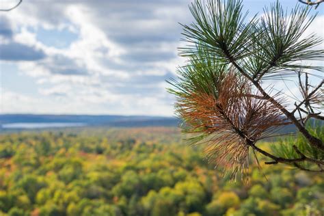 Langchain Memory 技術 — 打造不失憶的ai聊天助理 1 By Sean Yeh 玩轉 Python：ai ×