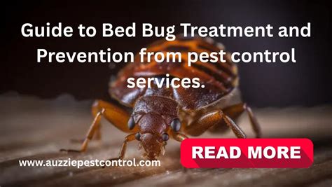 Guide To Bed Bug Treatment And Prevention From Pest Control Services