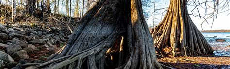 Event Based Architecture Towards Data Science