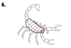 How To Draw A Scorpion Easy And Fun Drawing Guide