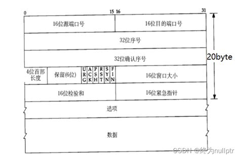 传输层—tcp原理详解 syn标志位 csdn博客