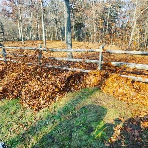 Siggins Landscape Sigginslandscape • Instagram Photos And Videos