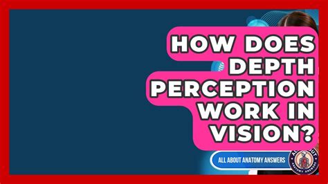 How Does Depth Perception Work In Vision All About Anatomy Answers