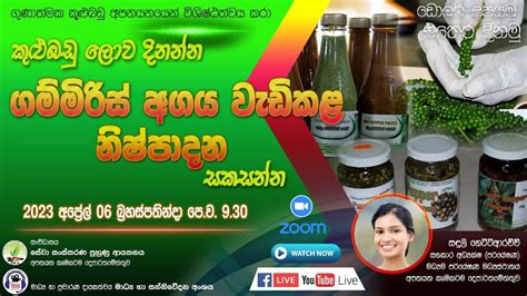 ගම්මිරිස් අගය වැඩිකළ නිෂ්පාදන Youtube