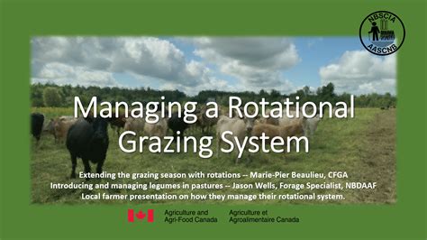 Managing A Rotational Grazing System Edmundston Nbscia