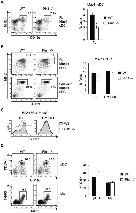 Dc Development In Bone Marrow Cultures A Representative Facs Plots Download Scientific