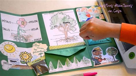 81 Ideas De Lapbook Cuadernos Interactivos Lapbook Plantillas