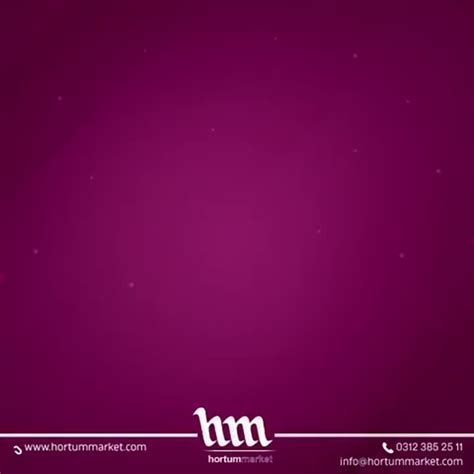 musa demirci linkedin‘de kurban bayramını sevdiklerinizle beraber