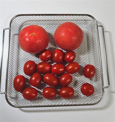 토마토 오일 파스타