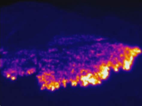 Los Drones Son El Futuro En La Gestión De Bosques E Incendios
