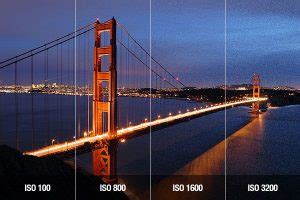 Sensibilidad Iso Cómo Afecta A Tus Fotografías Y Qué Beneficios Puedes