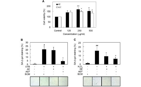 Fermented A Koreanum Extract Protects Dermal Fibroblast Cells From Download Scientific Diagram
