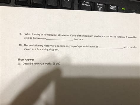 Solved Print Screen Scroll Lock Pause Break 9 When Looking Chegg Com