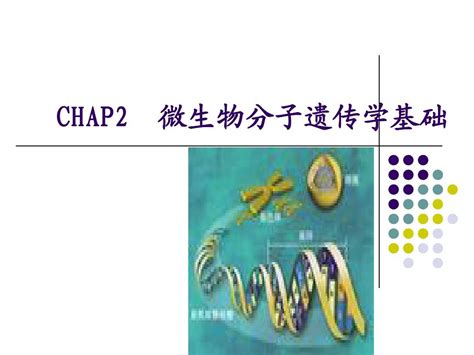 不讲了CHAP2 微生物分子遗传 word文档在线阅读与下载 无忧文档