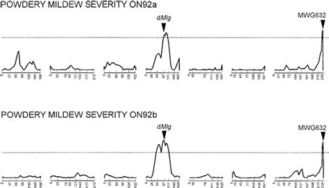 Scans Of A Test Statistic For Simple Interval Mapping For Qtl Main Download Scientific Diagram