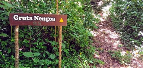 Señales Desde Guamuhaya La Gruta De Nengoa Covering Cuba Tourism And Travel Food And Cuisine