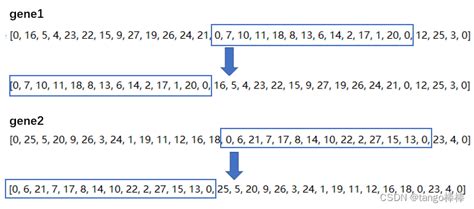 遗传算法求解车辆路径优化问题vrp（python代码实现）车辆路径遗传算法python Csdn博客