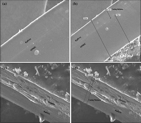 Scanning Electron Micrographs Of Cross Section Of Cleaved Surface Of Download Scientific