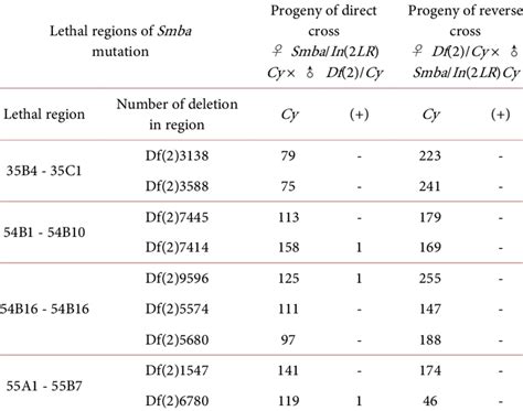 Local Recessive Lethality Of The Smba Mutation From The Smbain2lr Cy