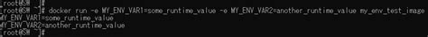 How To Set Docker File Environment Variables