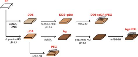Figure 1 From Antibacterial Performance Of Polydopamine Modified