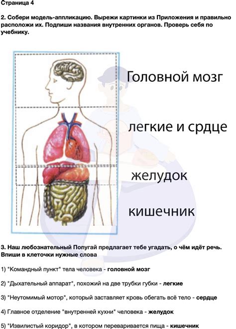 ГДЗ Страница 4 Часть 2 Рабочая тетрадь по окружающему миру 2 класс Плешаков 2023 ФГОС Школа России