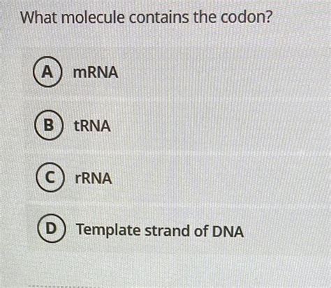 [answered] What Molecule Contains The Codon A Mrna B Trna C Rrna D Kunduz