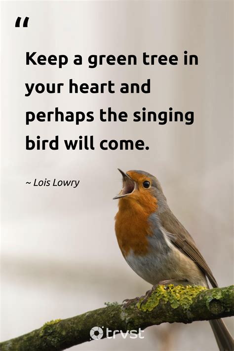 Inspiring Bird Quote From Award Winning Author Lois Lowry The Bird