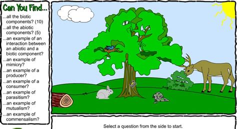 Ecosystem Function Trees At Cindy Larson Blog