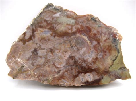 Jurassic Dinosaur Coprolite 78 Fossils For Sale